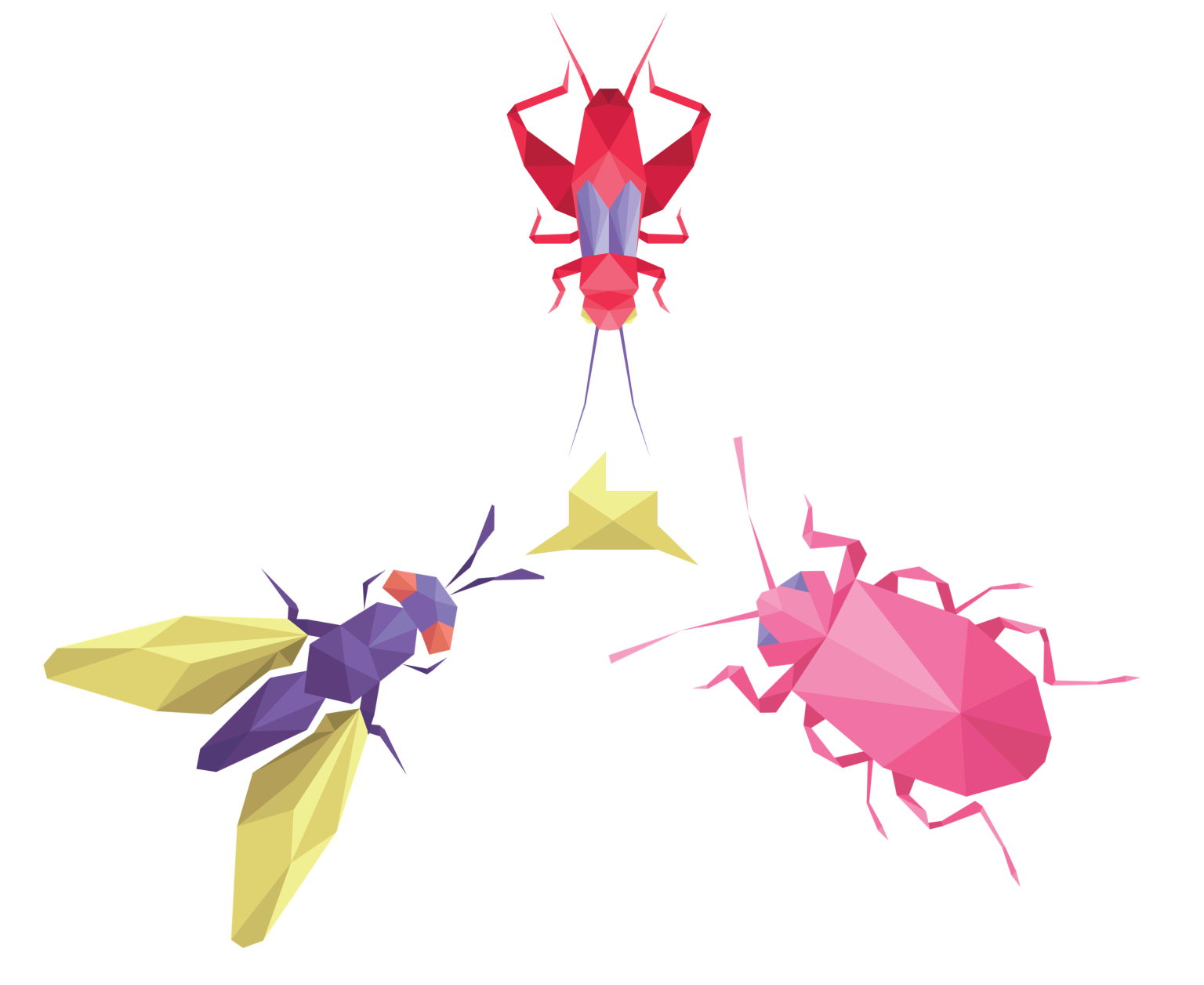 CONGRESS 2025 – Insectera – Agenda Mobilizadora